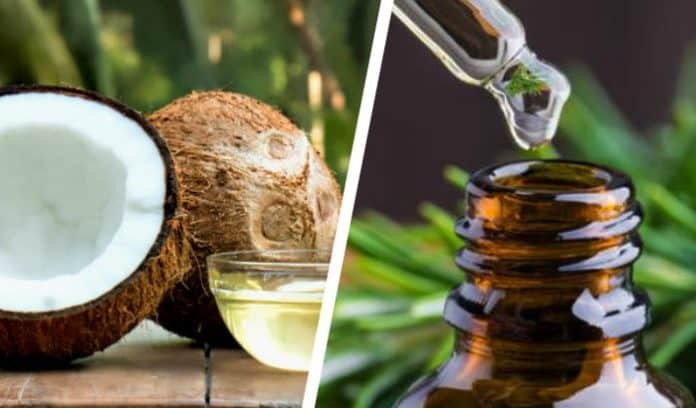 6 Must-Know Coconut Oil Beard Benefits (Research-Backed)